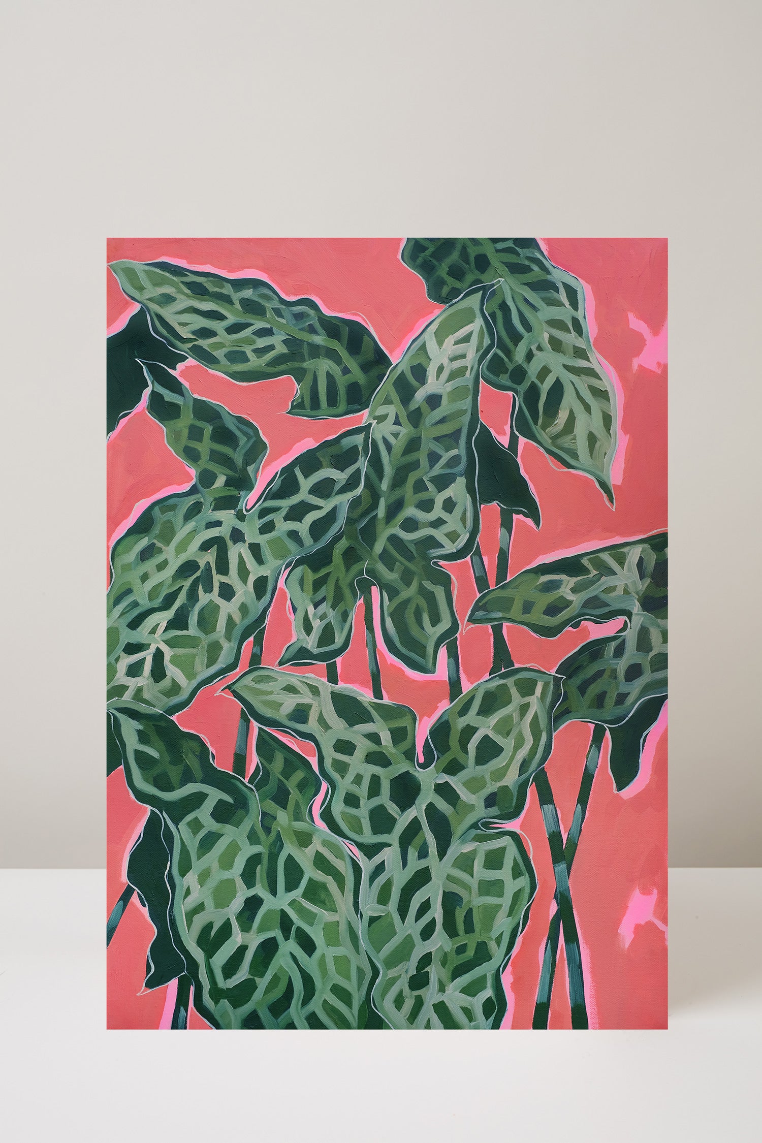 Arum Italicum Painting On Canvas By Daniel Quirke