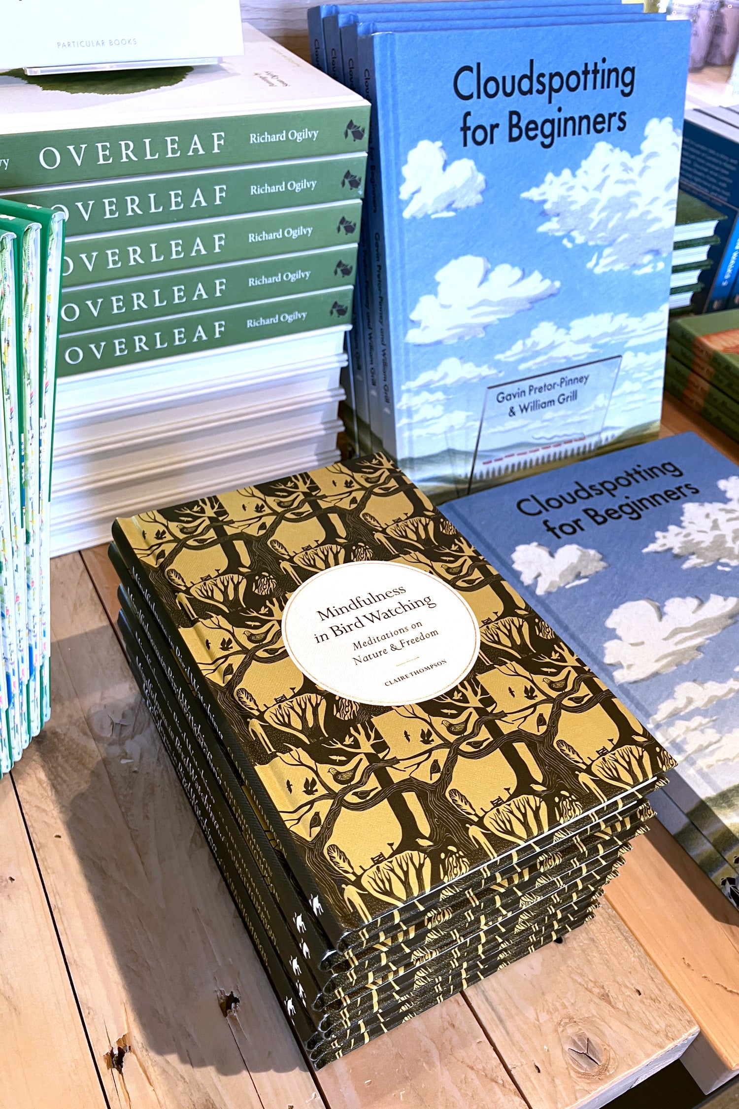 Mindfulness In Bird Watching